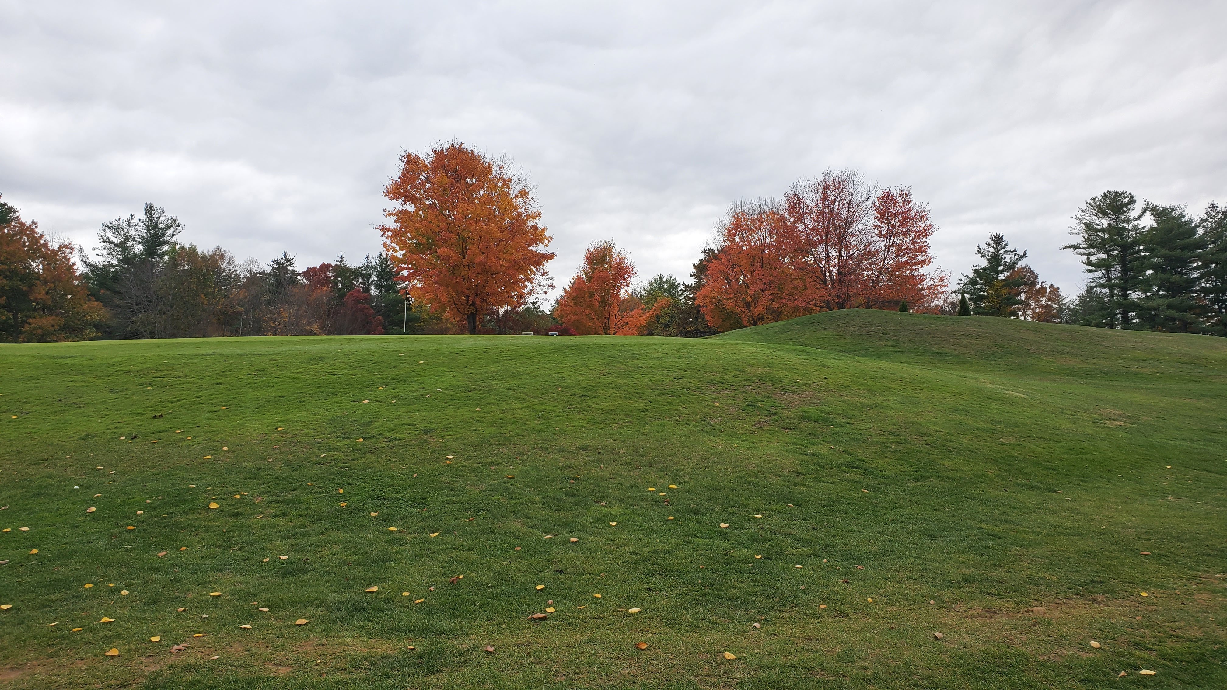 Memberships - Exeter Country Club